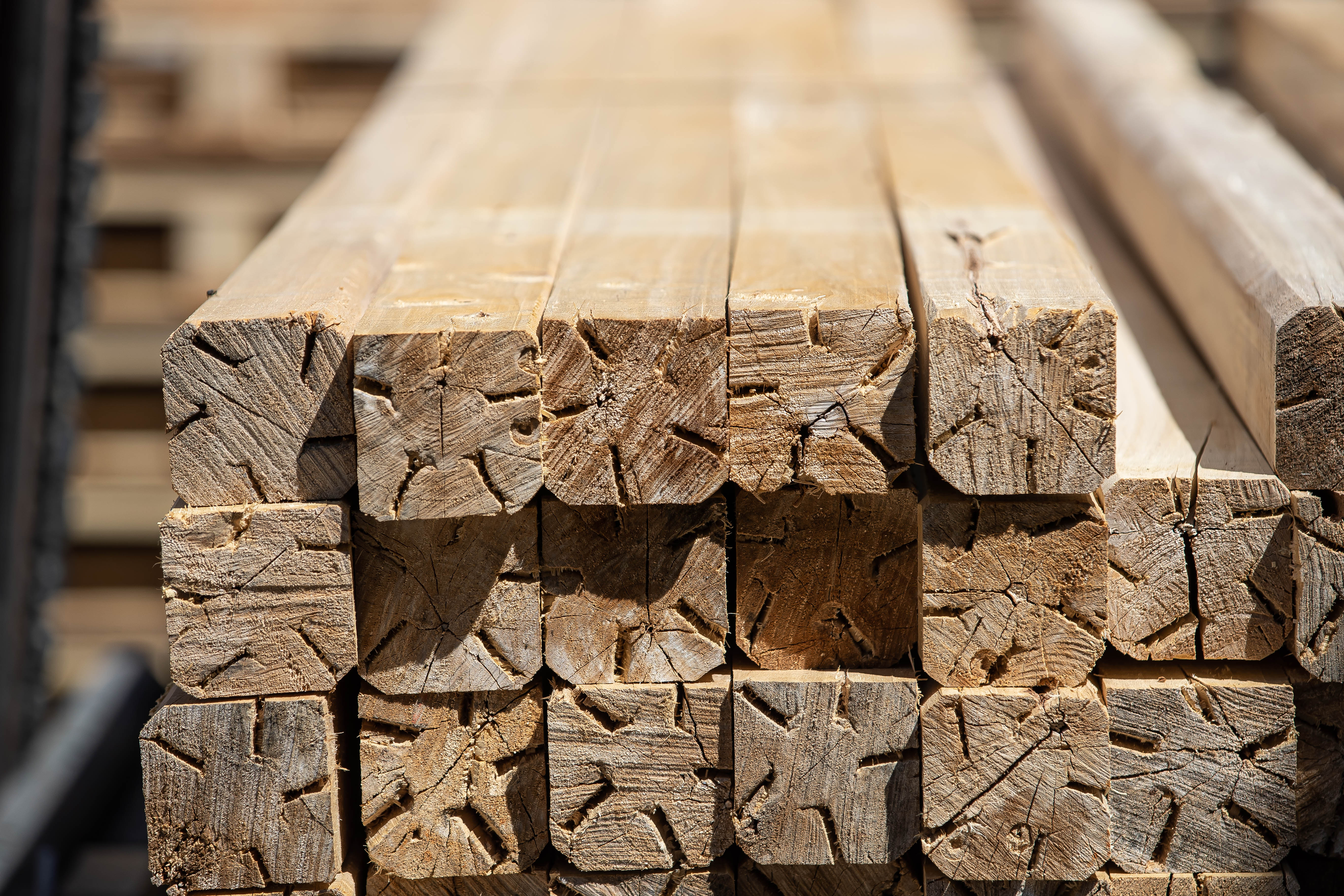 Legno riciclato: Italia davanti all’Europa – Imballaggi Valpantena